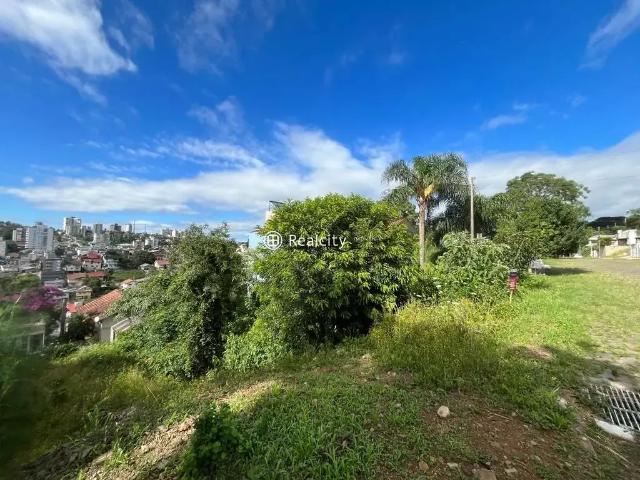 Terreno / Lote para Venda em Bento Gonçalves/RS Universitário