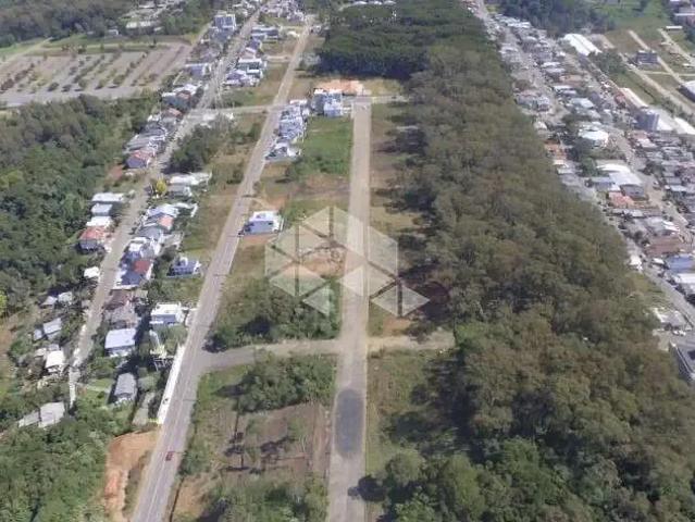 Terreno / Lote para Venda em Bento Gonçalves/RS Universitário