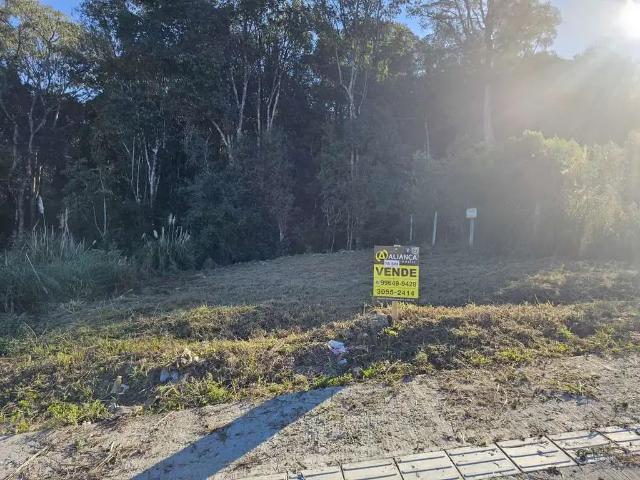 Terreno / Lote para Venda em Bento Gonçalves/RS Universitário