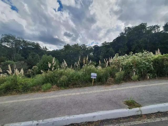 Terreno / Lote para Venda em Bento Gonçalves/RS Universitário