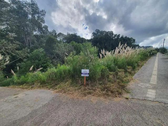 Terreno / Lote para Venda em Bento Gonçalves/RS Universitário