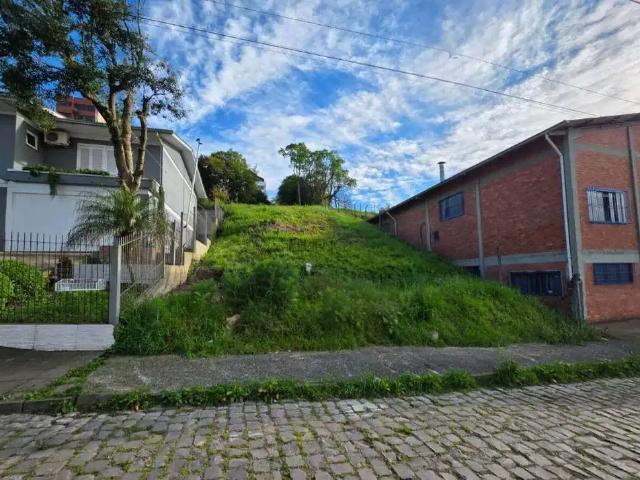 Terreno / Lote para Venda em Bento Gonçalves/RS Universitário