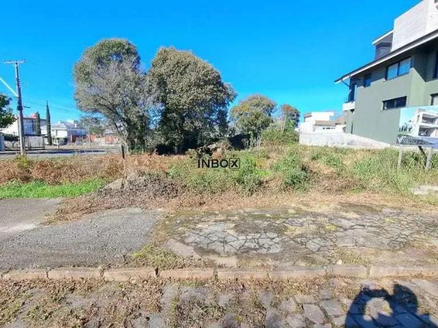 Terreno / Lote para Venda em Bento Gonçalves/RS Universitário