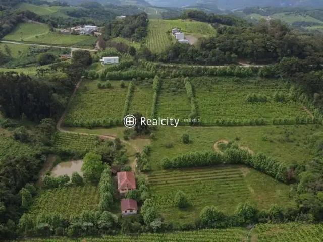 Terreno / Lote para Venda em Bento Gonçalves/RS Vale dos Vinhedos Distrito
