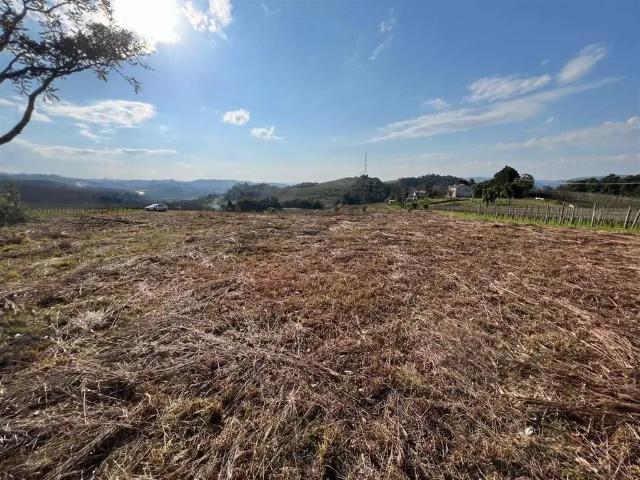 Terreno / Lote para Venda em Bento Gonçalves/RS Vale dos Vinhedos Distrito