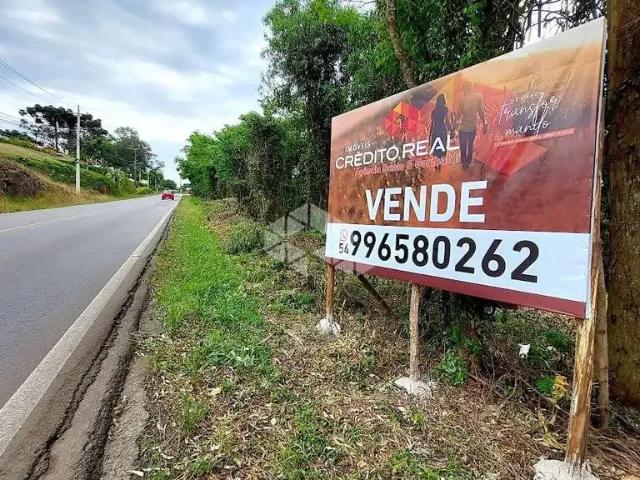 Terreno / Lote para Venda em Bento Gonçalves/RS Vale dos Vinhedos Distrito