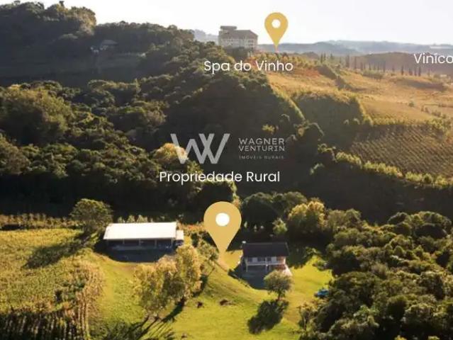 Terreno / Lote para Venda em Bento Gonçalves/RS Vale dos Vinhedos Distrito
