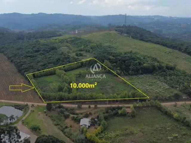 Terreno / Lote para Venda em Bento Gonçalves/RS Vale dos Vinhedos Distrito
