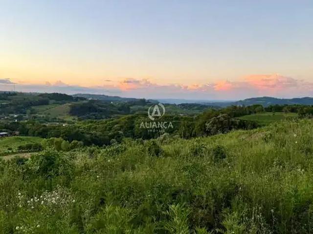 Terreno / Lote para Venda em Bento Gonçalves/RS Vale dos Vinhedos Distrito