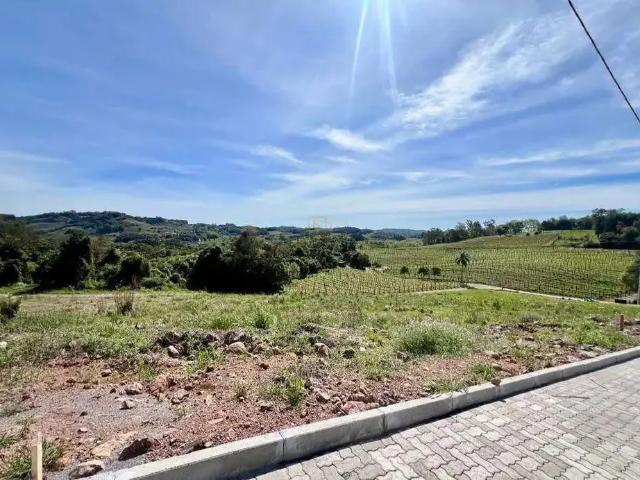 Terreno / Lote para Venda em Bento Gonçalves/RS Vale dos Vinhedos Distrito