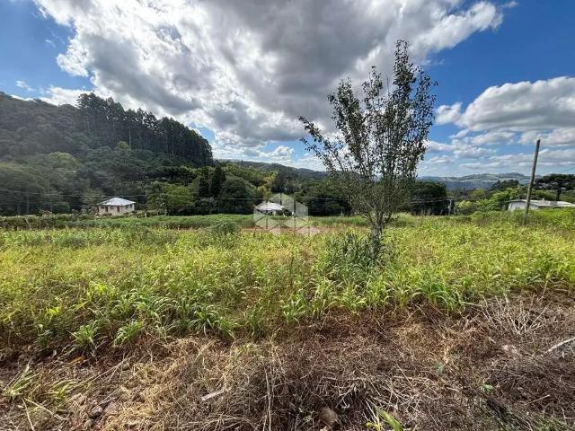 Terreno / Lote para Venda em Bento Gonçalves/RS Vale dos Vinhedos Distrito