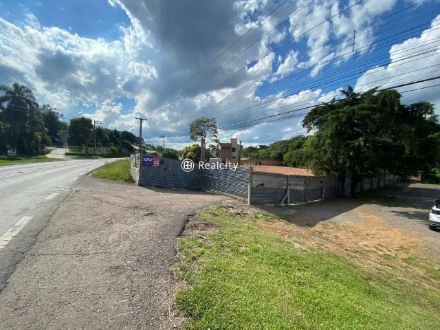Terreno / Lote para Venda em Bento Gonçalves/RS Vale dos Vinhedos Distrito
