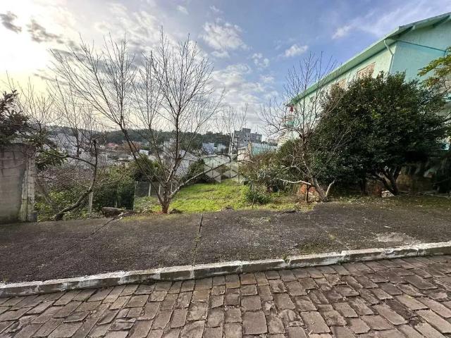 Terreno / Lote para Venda em Bento Gonçalves/RS Verona