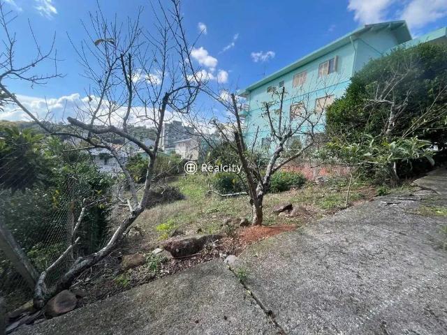 Terreno / Lote para Venda em Bento Gonçalves/RS Verona