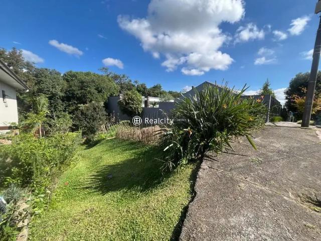 Terreno / Lote para Venda em Bento Gonçalves/RS Verona