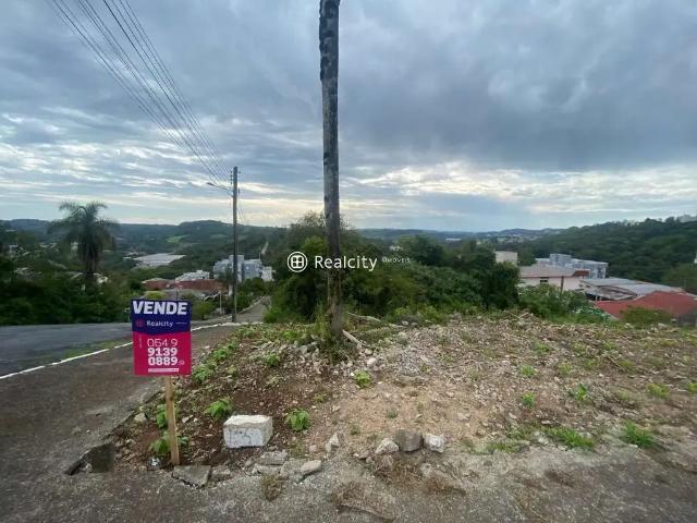 Terreno / Lote para Venda em Bento Gonçalves/RS Verona