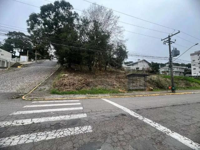 Terreno / Lote para Venda em Bento Gonçalves/RS Verona