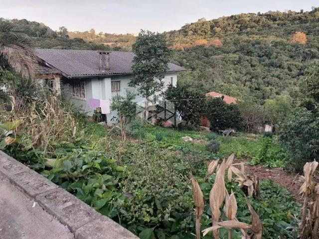 Terreno / Lote para Venda em Bento Gonçalves/RS Vinhedos