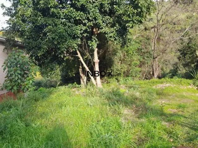 Terreno / Lote para Venda em Bento Gonçalves/RS Vinhedos
