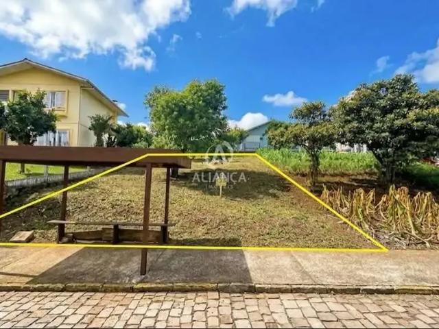 Terreno / Lote para Venda em Bento Gonçalves/RS Vinhedos