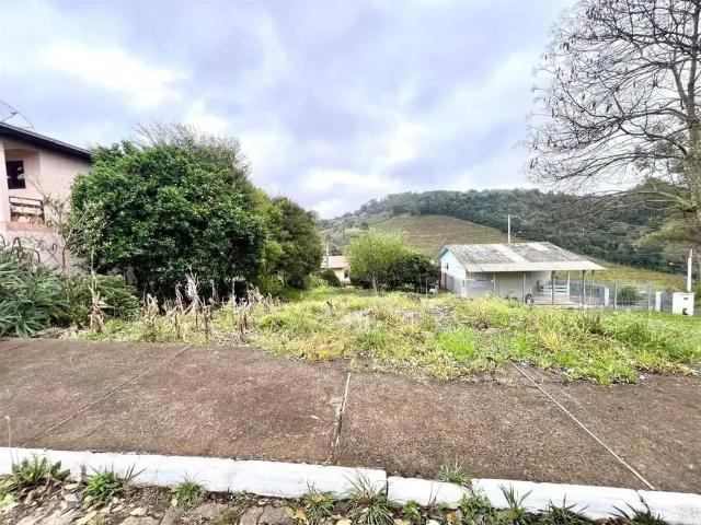 Terreno / Lote para Venda em Bento Gonçalves/RS Vinhedos