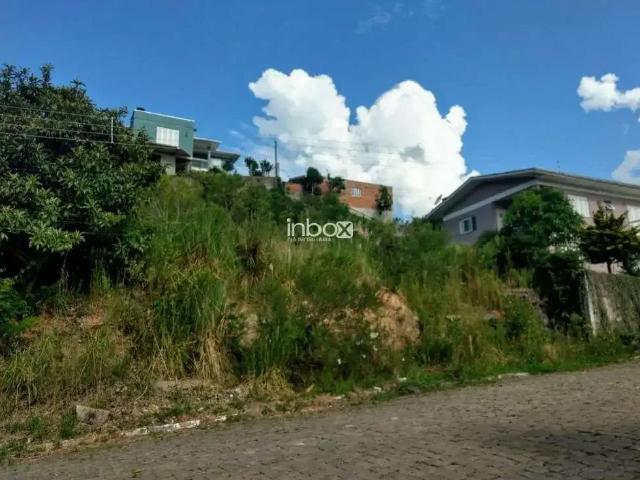 Terreno / Lote para Venda em Bento Gonçalves/RS Vinhedos