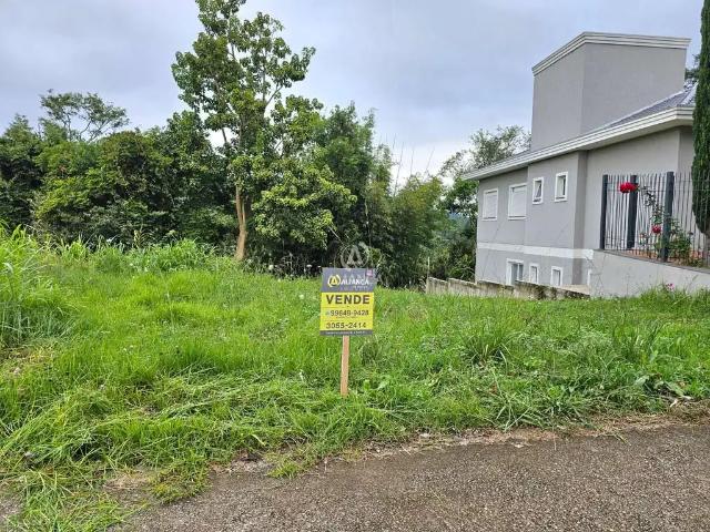 Terreno / Lote para Venda em Bento Gonçalves/RS Vinhedos