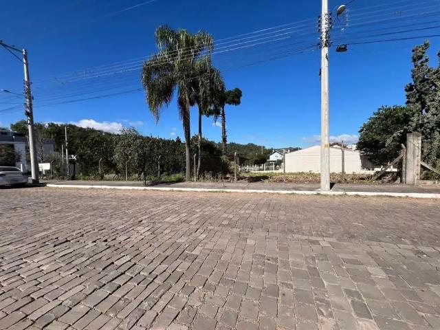 Terreno / Lote para Venda em Bento Gonçalves/RS Vinhedos