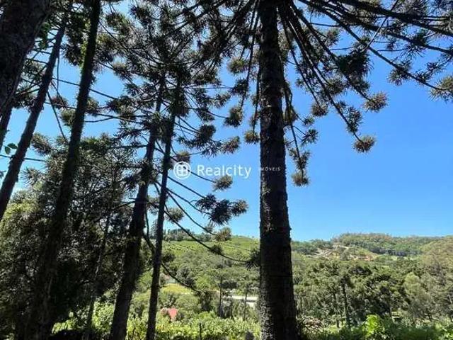 Terreno / Lote para Venda em Bento Gonçalves/RS Vinosul