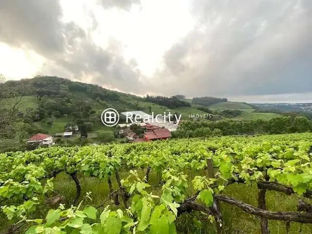Terreno / Lote para Venda em Bento Gonçalves/RS Vinosul