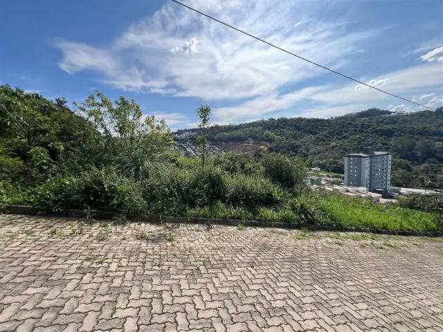 Terreno / Lote para Venda em Bento Gonçalves/RS Vila Nova