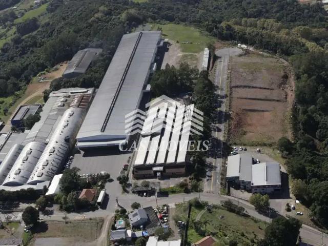 Terreno / Lote para Venda em Bento Gonçalves/RS Vila Nova
