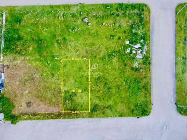 Terreno / Lote para Venda em Bento Gonçalves/RS Vila Nova