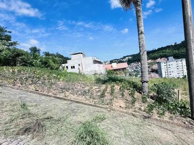Terreno / Lote para Venda em Bento Gonçalves/RS Vila Nova II
