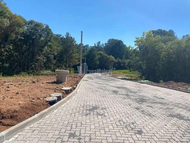 Terreno / Lote para Venda em Bento Gonçalves/RS Vila Nova II