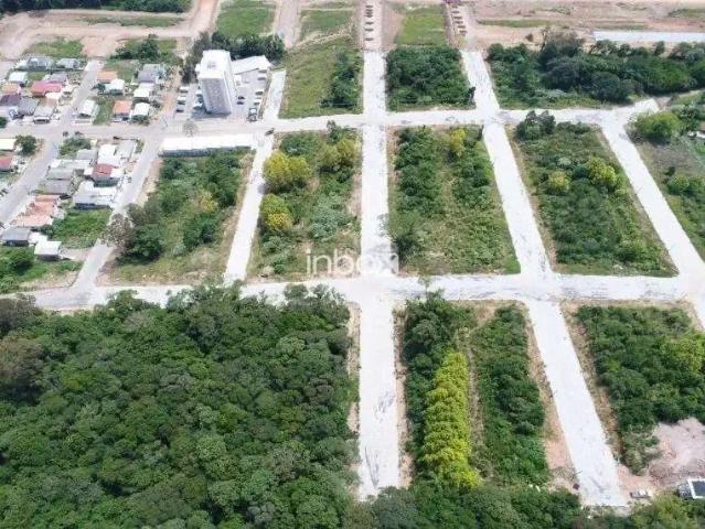 Terreno / Lote para Venda em Bento Gonçalves/RS Vila Nova II