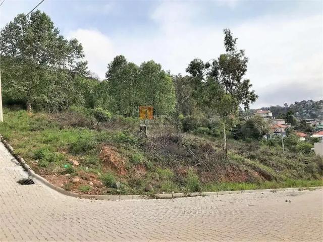 Terreno / Lote para Venda em Bento Gonçalves/RS Vila Nova II