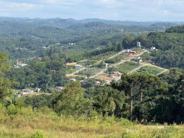 Terreno / Lote para Venda em Bento Gonçalves/RS Vila Nova II