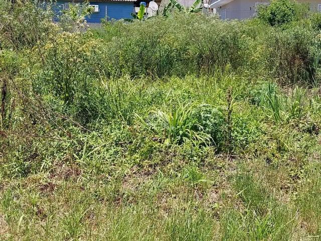 Terreno / Lote para Venda em Bento Gonçalves/RS Vila Nova II