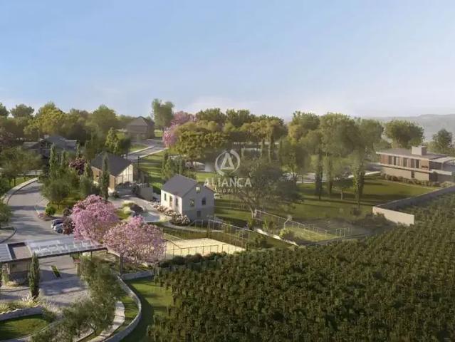 Terreno / Lote para Venda em Bento Gonçalves/RS Zona Rural