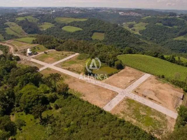 Terreno / Lote para Venda em Bento Gonçalves/RS Zona Rural