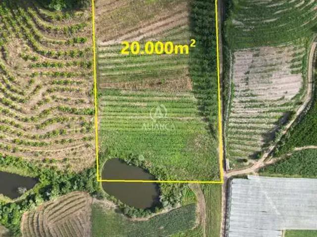 Terreno / Lote para Venda em Bento Gonçalves/RS Zona Rural