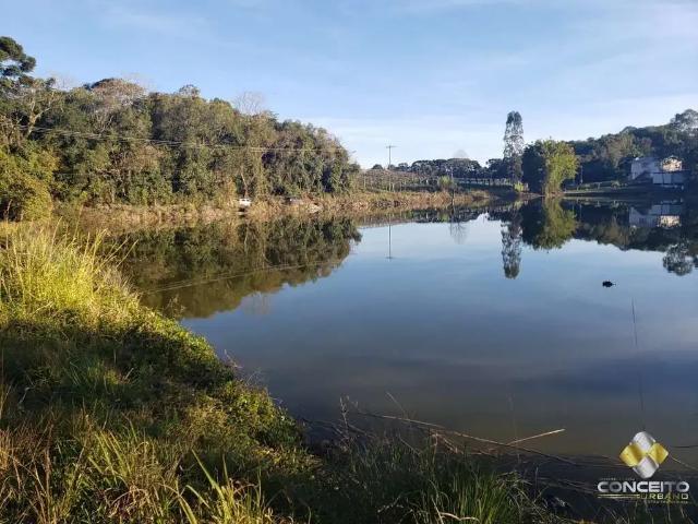Terreno / Lote para Venda em Bento Gonçalves/RS Área Rural de Bento Gonçalves