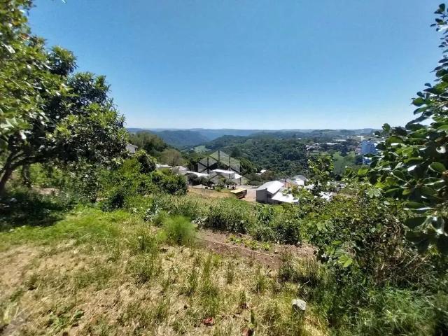Terreno / Lote para Venda em Bento Gonçalves/RS Aparecida