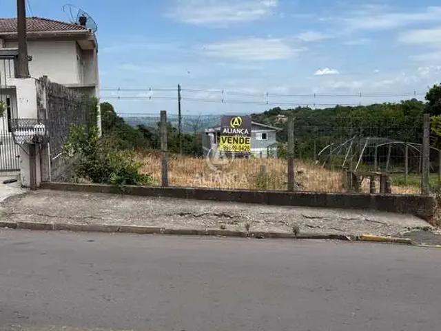 Terreno / Lote para Venda em Bento Gonçalves/RS Aparecida