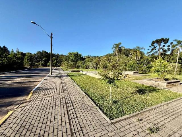 Terreno / Lote para Venda em Bento Gonçalves/RS Barracão