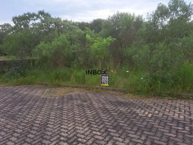 Terreno / Lote para Venda em Bento Gonçalves/RS Barracão