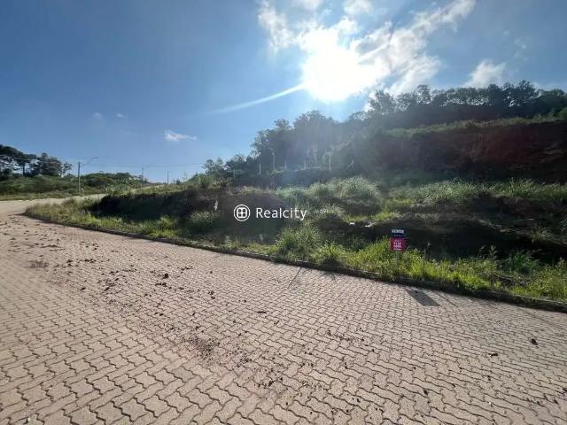 Terreno / Lote para Venda em Bento Gonçalves/RS Barracão