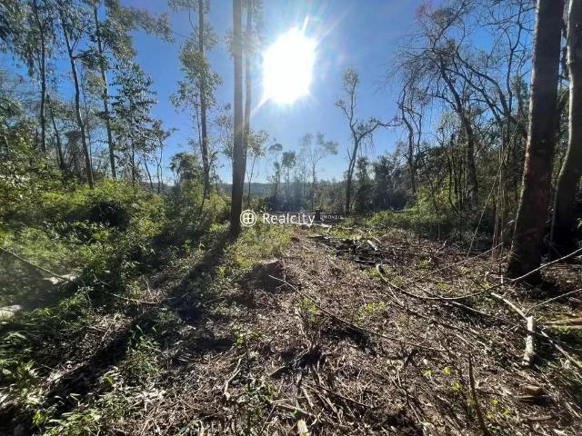 Terreno / Lote para Venda em Bento Gonçalves/RS Barracão