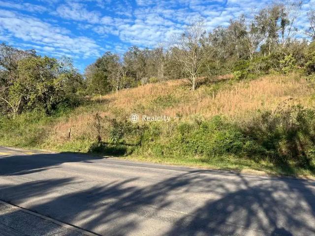Terreno / Lote para Venda em Bento Gonçalves/RS Barracão